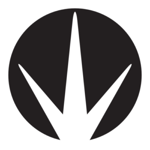 10 Best Pokémon cards in (Most Valuable)